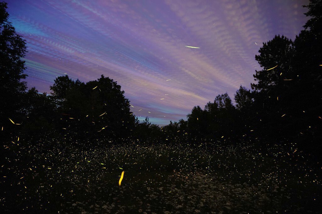 Andharban Fireflies Trek - Backpackers Hyderabad